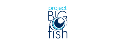 Project BIG fish | Washington DC Marketing Strategy Agency | Agency Spotter